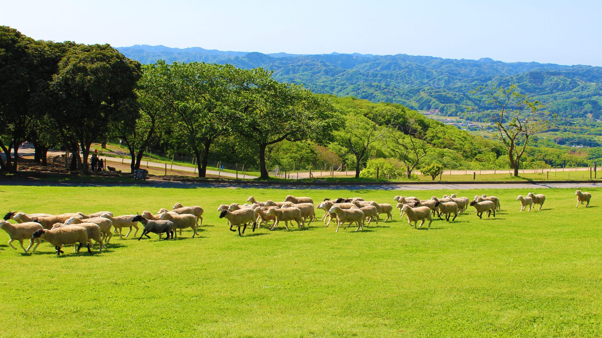 Chiba Prefecture Travel Guide. | GOOD LUCK TRIP