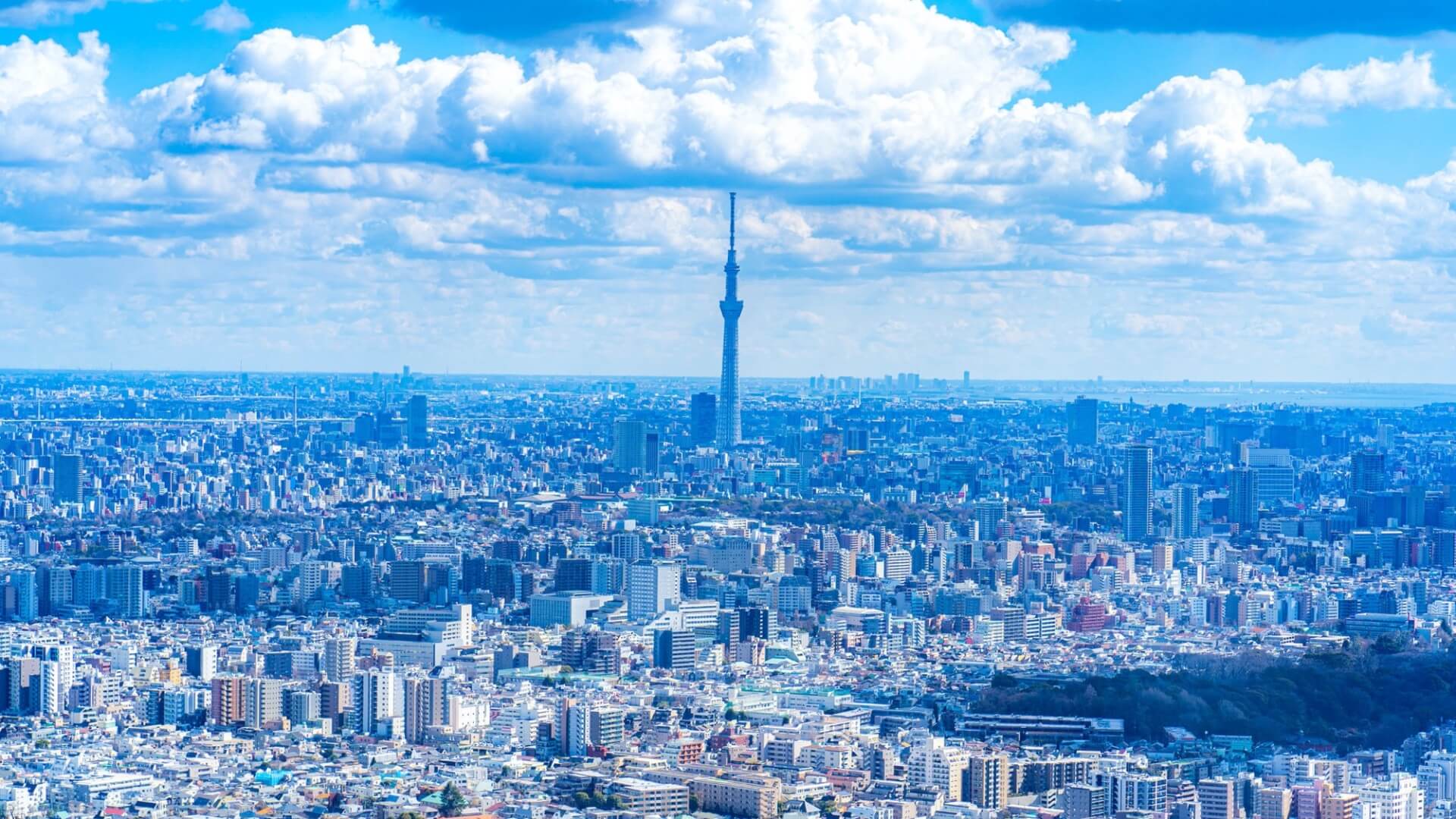 Tokyo Travel Guide | GOOD LUCK TRIP